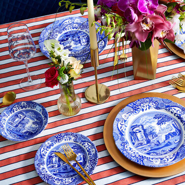 Spode Blue Italian Collection - The Classic Blue China