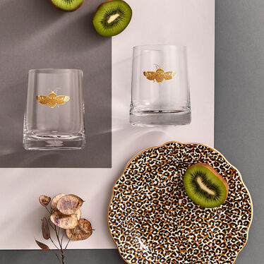 Creatures of Curiosity