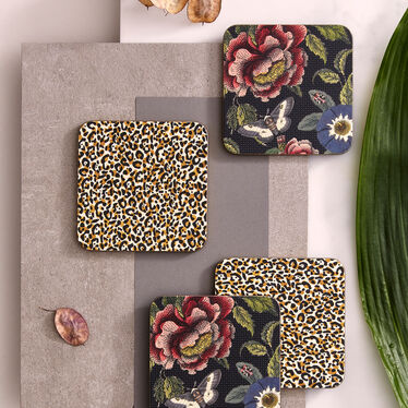 Creatures of Curiosity