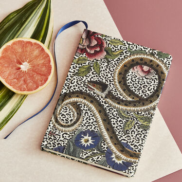 Creatures of Curiosity